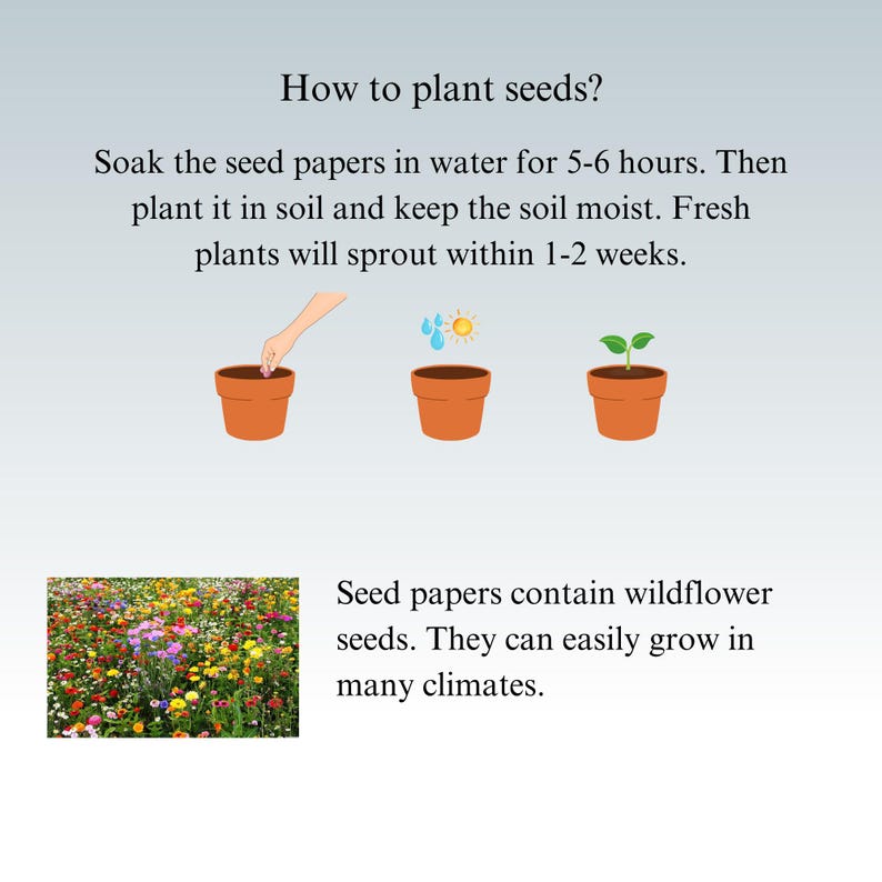 Personalized Wildflower Seed Paper Wedding Favor - Eco-friendly Favors ...