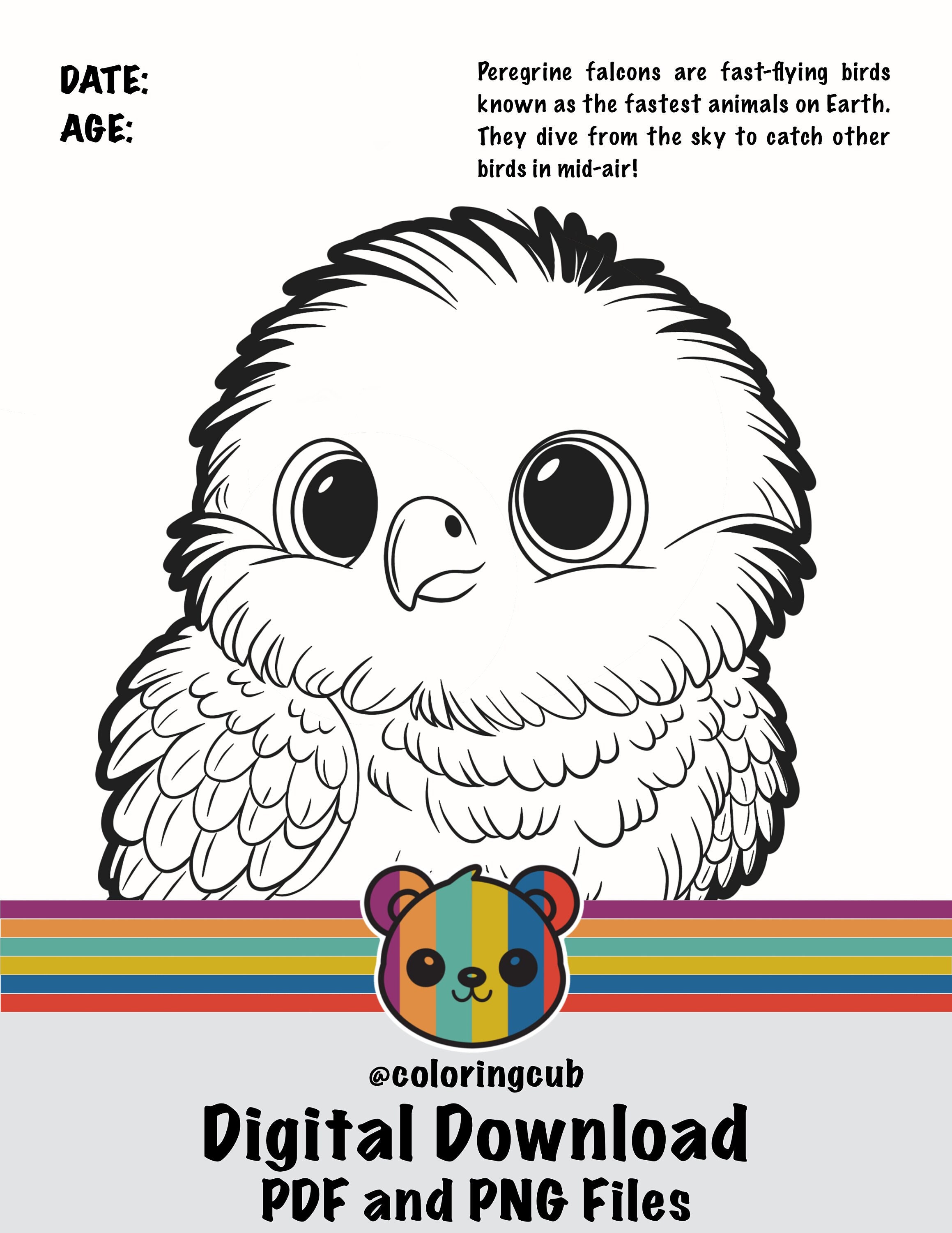 Cute Baby Peregrine Falcon Coloring Page, Digital Download, Printable ...
