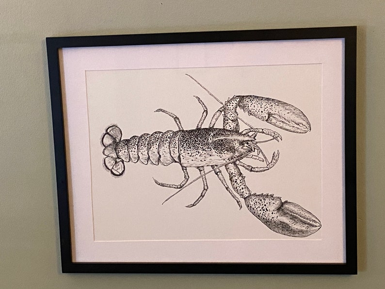 Maine Lobster Pen and Ink Drawing Original or Print. - Etsy