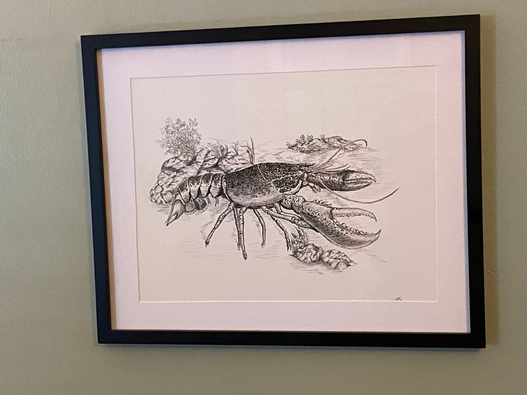 Maine Lobster on Ocean Floor Pen and Ink Print or Original. - Etsy