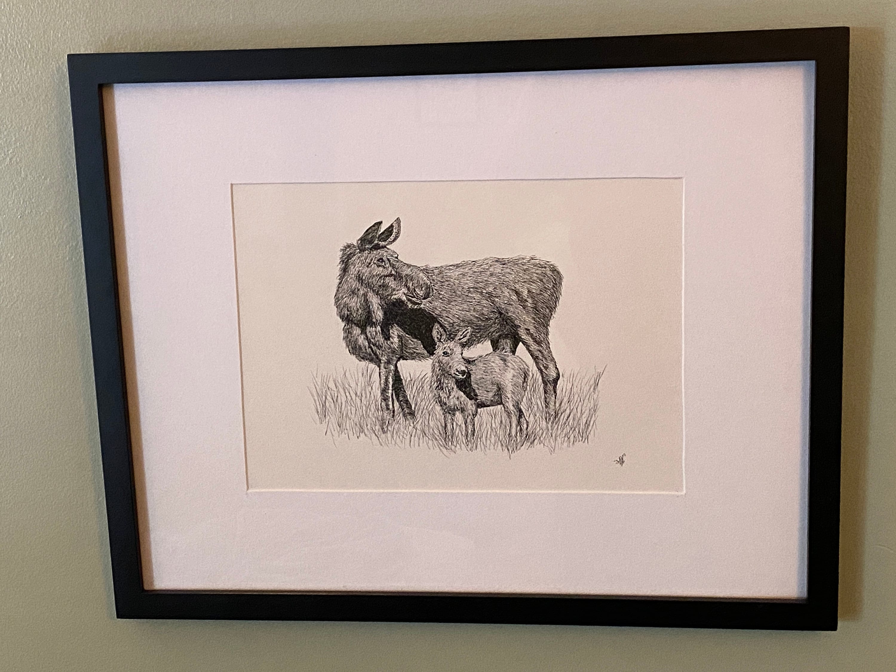 Maine Moose and Calf Pen and Ink Drawing Original or Print. - Etsy