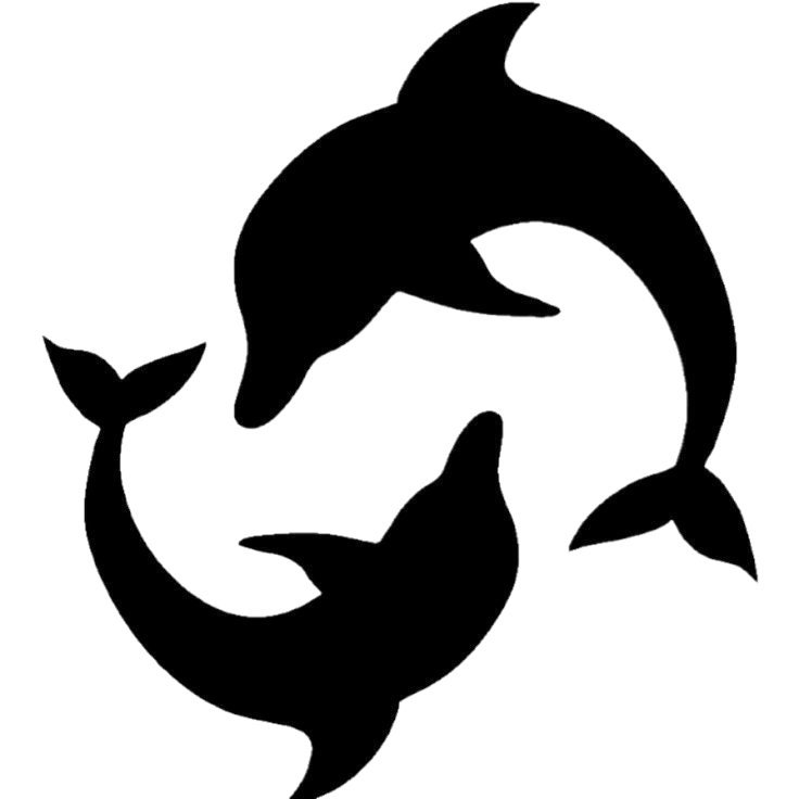 Dolphin SVG PNG - Etsy