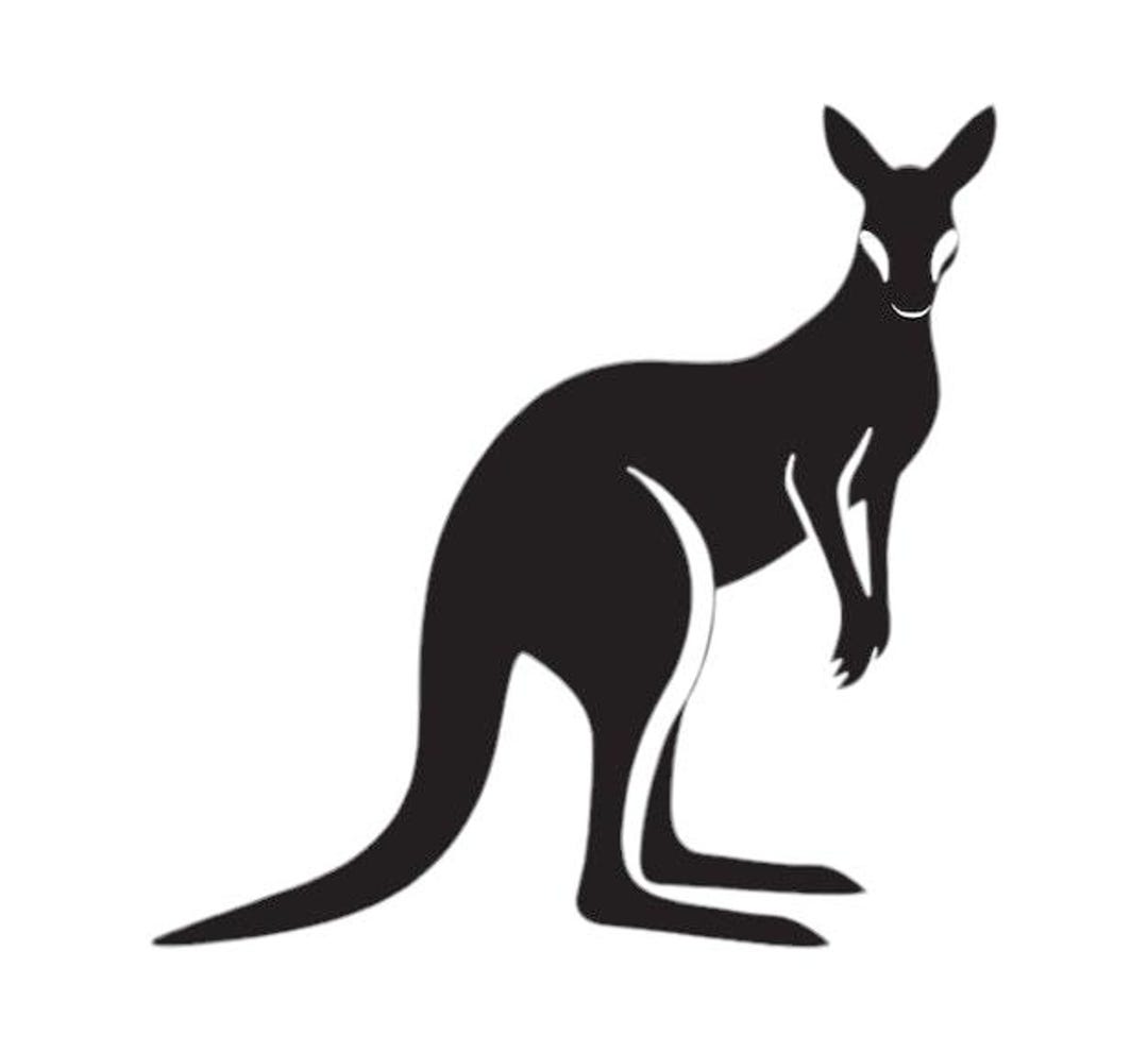 Kangaroo Svg Png - Etsy