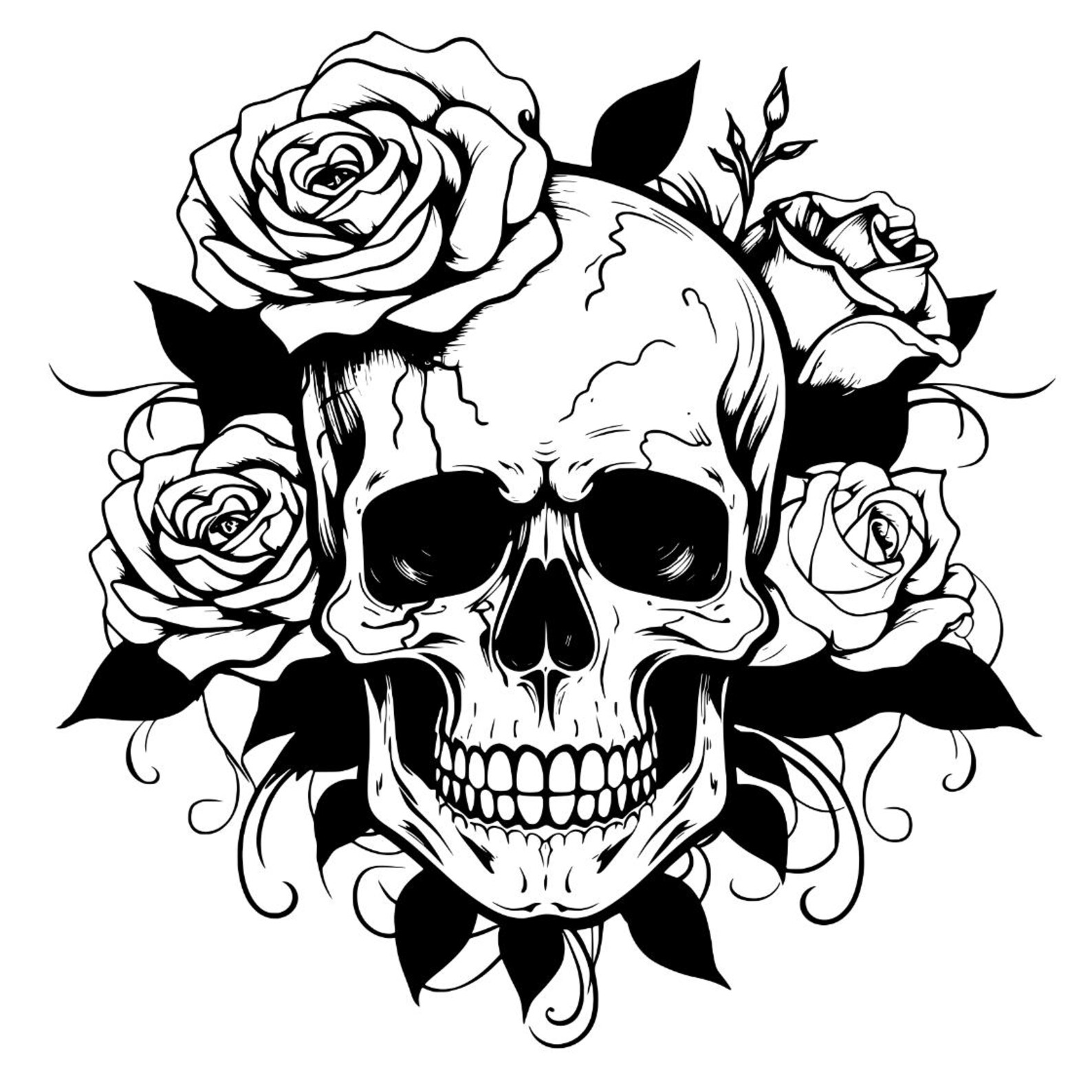 Skull SVG PNG - Etsy