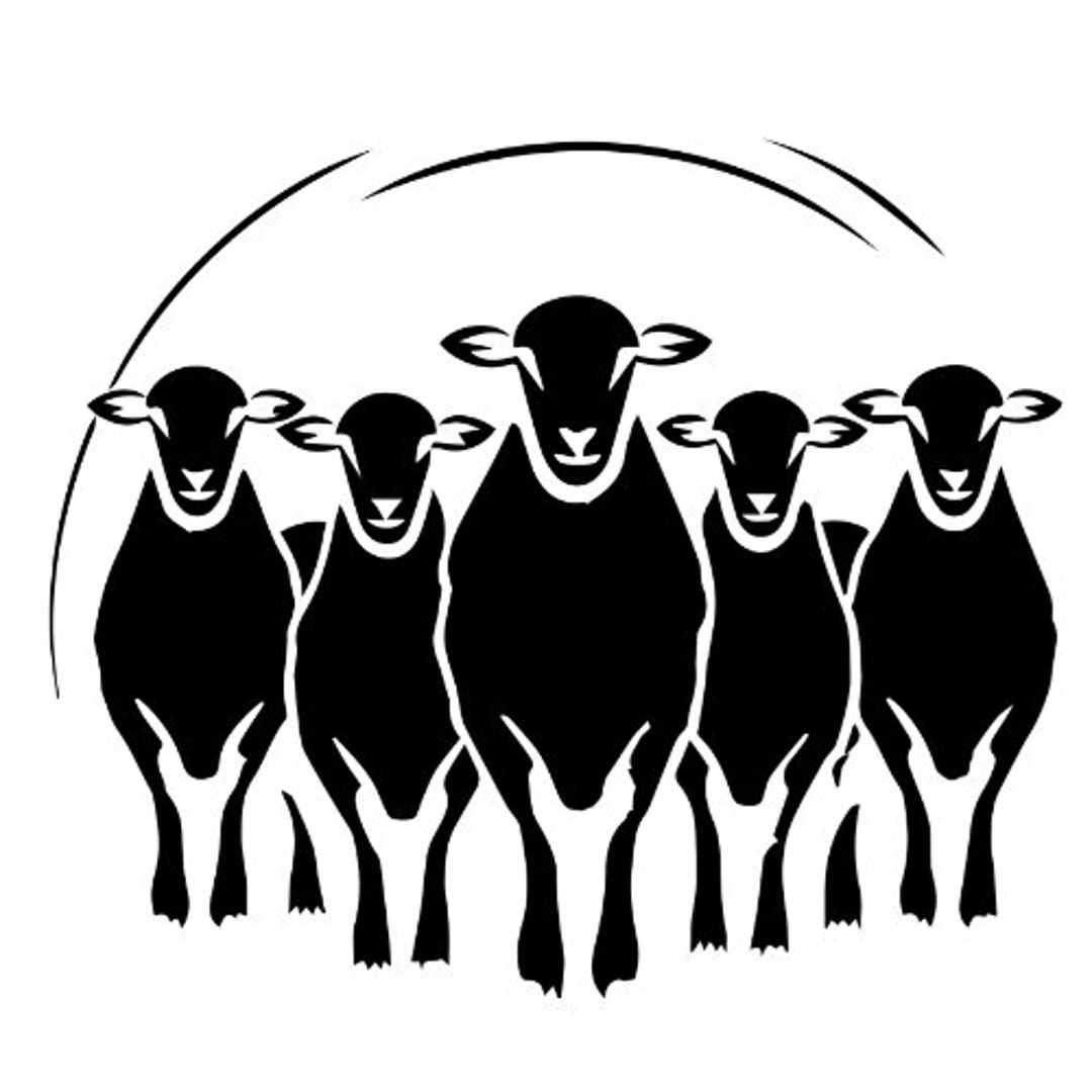 Sheep SVG PNG - Etsy