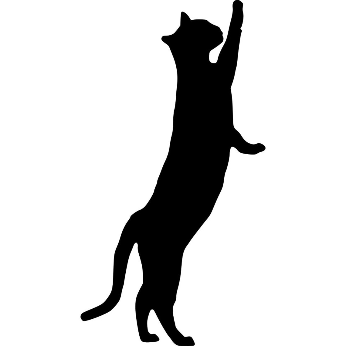 Cat SVG PNG - Etsy