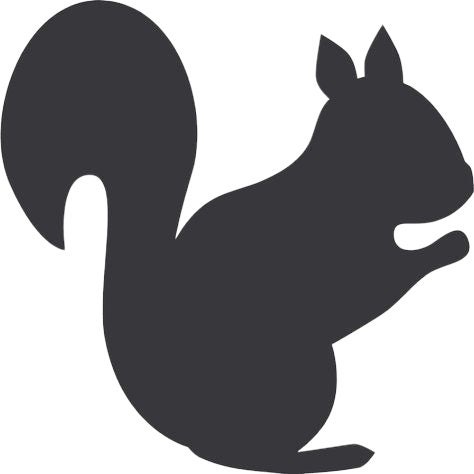 Squirrel SVG PNG - Etsy