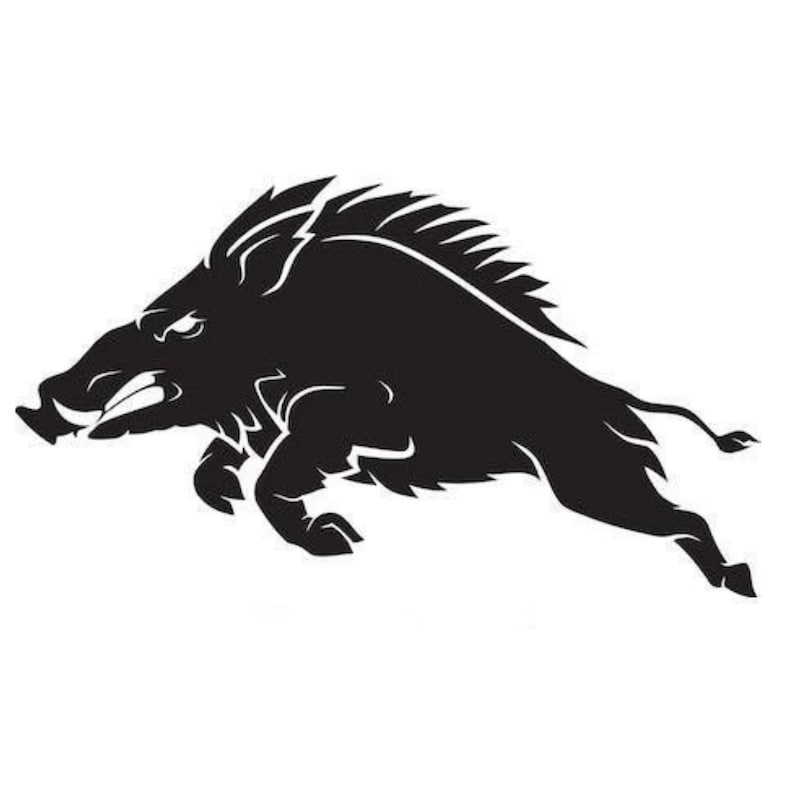 Wild Boar Svg Png - Etsy