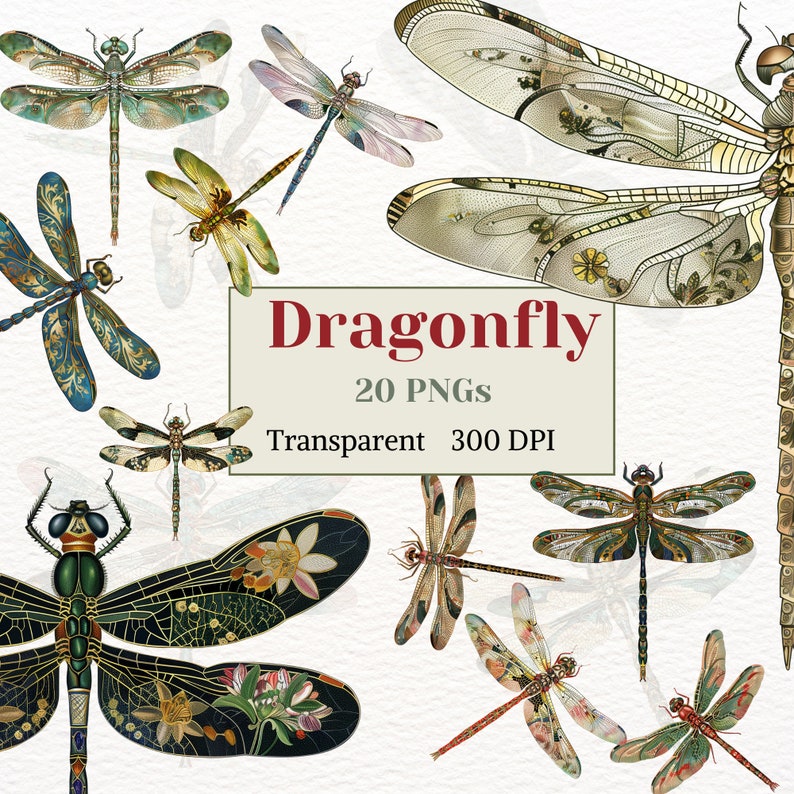 Dragonfly Clipart Transparent Watercolor PNG Wing Fantasy Graphic Rustic Floral Insect Drawing ...