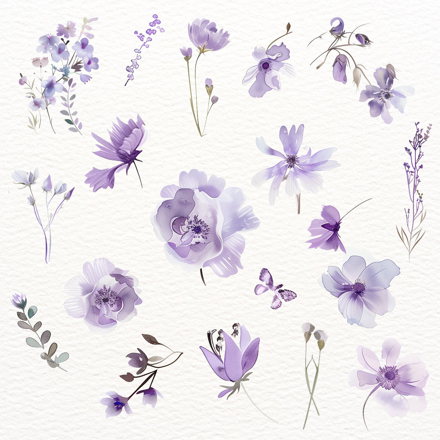 Violet Charm Clipart Transparent Watercolor PNG Purple Flora Image ...