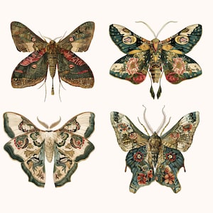 Night Moth Clip Art, Black Moth PNG, Wing Fantasy Graphic, Rustic ...