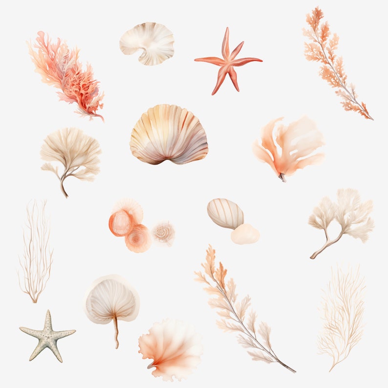 Under the Sea Clipart, Watercolor Transparent PNG Underwater Graphic ...