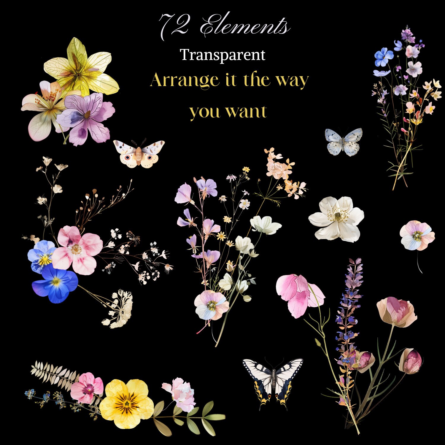 Pressed Flower DIY Elements Clipart Transparent Watercolor PNG Wild ...