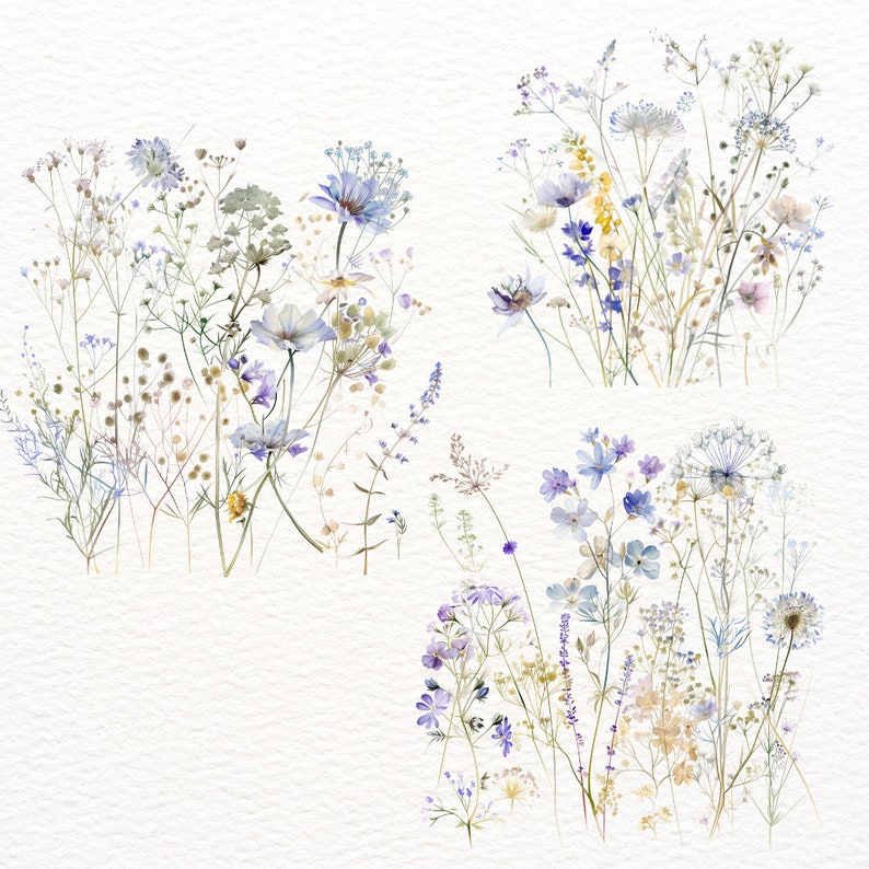 Wild Bliss Clip Art Transparent Watercolor PNG Floral Frame Graphic ...