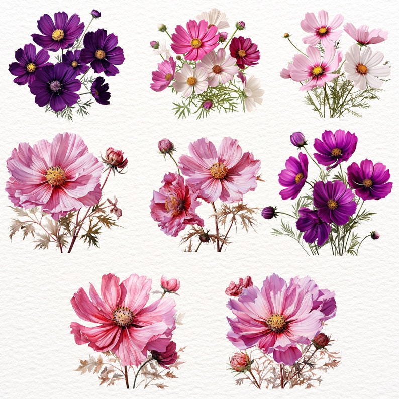 3D Cosmo Flower Clipart, Watercolor Pink Cosmo PNG, Spring Summer Flora ...