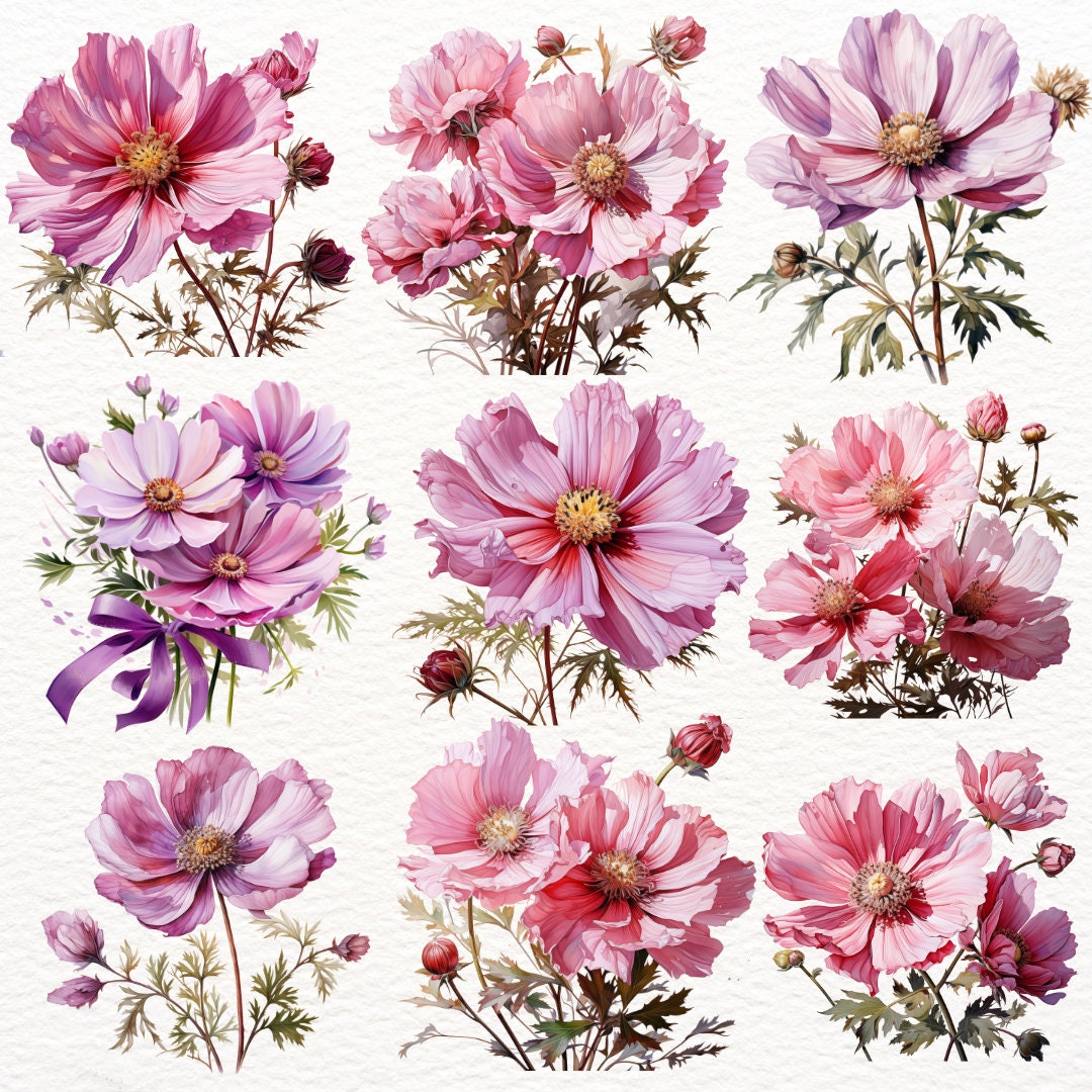 Cosmo 3D Flower Clipart Transparent Watercolor PNG Spring Summer Flora ...