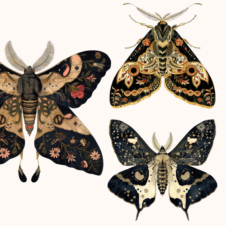 Night Moth Clipart Transparent Watercolor PNG Wing Fantasy Graphic ...