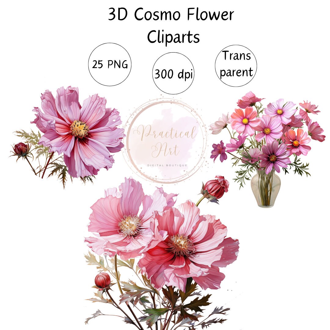 Cosmo 3D Flower Clipart Transparent Watercolor PNG Spring Summer Flora ...