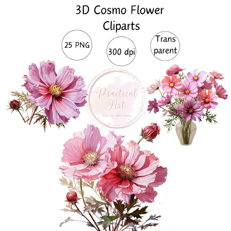 Cosmo 3D Flower Clipart Transparent Watercolor PNG Spring Summer Flora ...