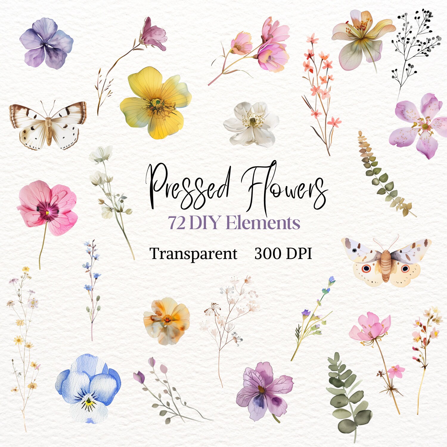 Pressed Flower DIY Elements Clipart Transparent Watercolor PNG Wild ...