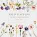 Wild Flowers Clipart, Watercolor DIY Element PNG, Spring Summer Floral ...