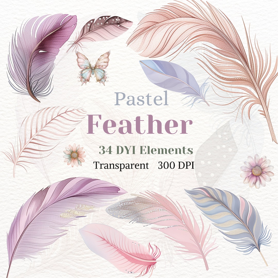 Pastel Feather Clipart Transparent PNG Bohemian Design Pink Blue ...