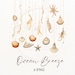 Ocean Seashell Wreath Clipart, Watercolor, Boho Beige Design, Summer ...