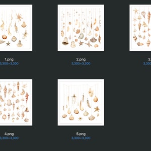 Ocean Seashell Wreath Clipart, Watercolor Boho Beige Shell Frame PNG ...