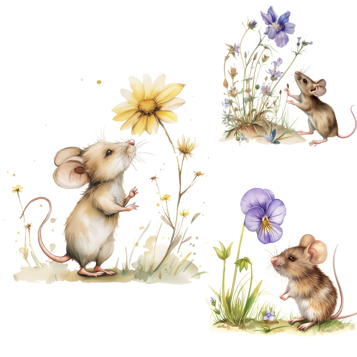 Cute Mouse and Flower Clipart Watercolor Transparent PNG Mice Floral ...