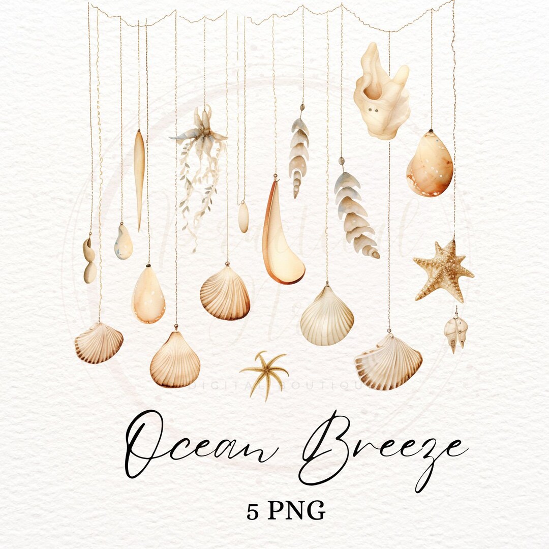 Ocean Seashell Wreath Clipart, Watercolor Boho Beige Shell Frame PNG ...