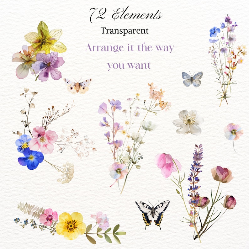 Pressed Flower DIY Elements Clipart Transparent Watercolor PNG Wild ...