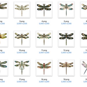 Dragonfly Clipart Transparent Watercolor PNG Wing Fantasy Graphic Rustic Floral Insect Drawing ...