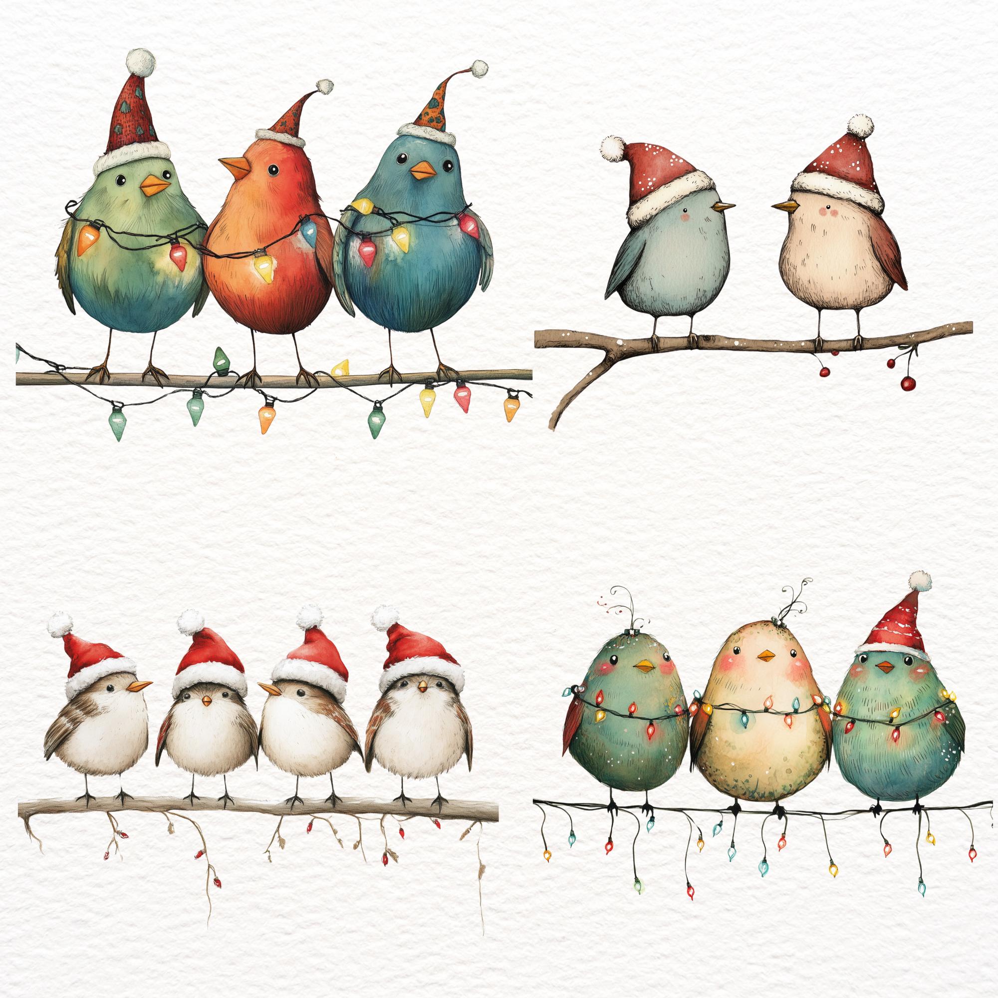 Whimsical Christmas Birds Clipart, Watercolor Cute Funny Bird PNG ...