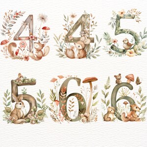 Woodland Numbers Clipart, Watercolor Forest Birthday Graphic, First ...