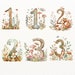Woodland Numbers Clipart, Watercolor Forest Birthday Graphic, First ...