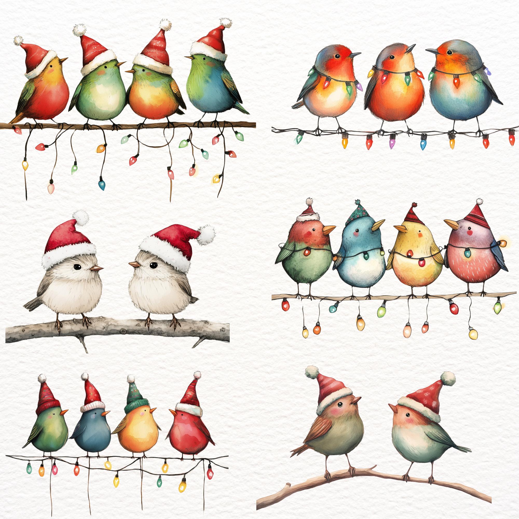 Whimsical Christmas Birds Clipart, Watercolor Cute Funny Bird PNG ...