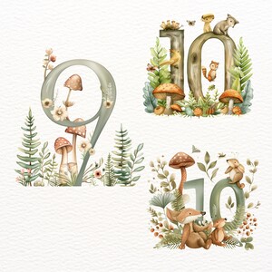 Woodland Numbers Clipart, Watercolor Forest Birthday Graphic, First ...