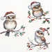 Winter Bird Clipart Watercolor Transparent PNG Noel Winter Graphic ...