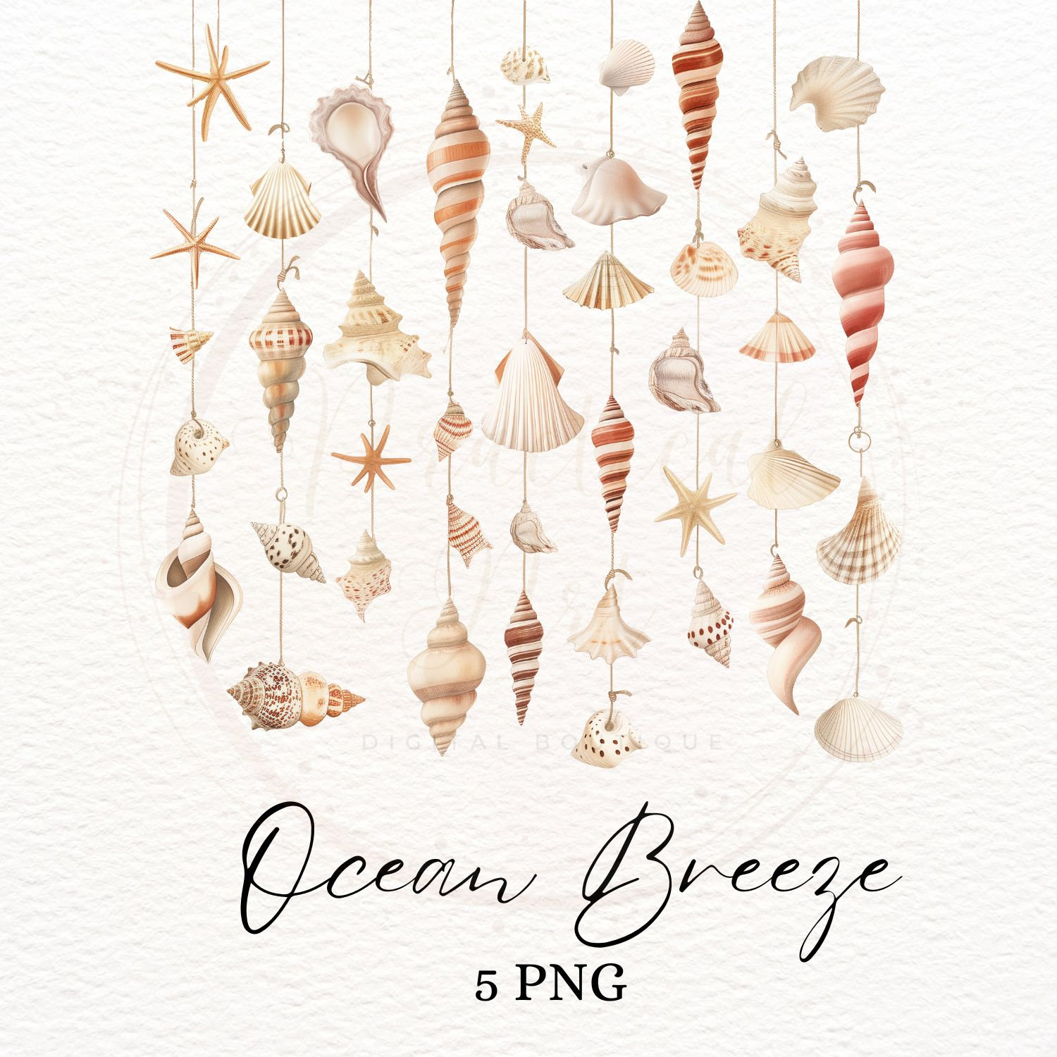 Ocean Seashell Wreath Clipart, Watercolor, Boho Beige Design, Summer ...