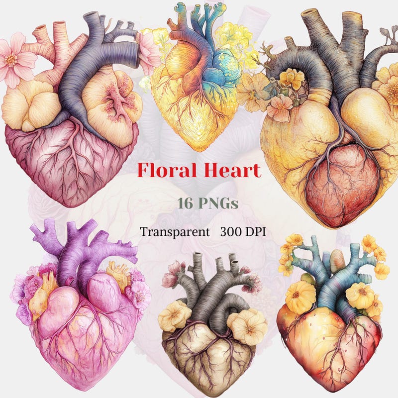 Anatomical Watercolor Floral Heart - Etsy