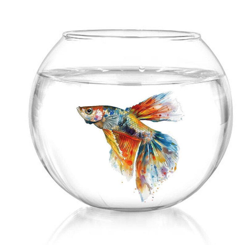 Guppy Fish Clipart Watercolor Transparent PNG Pet Animal Drawing Fish ...
