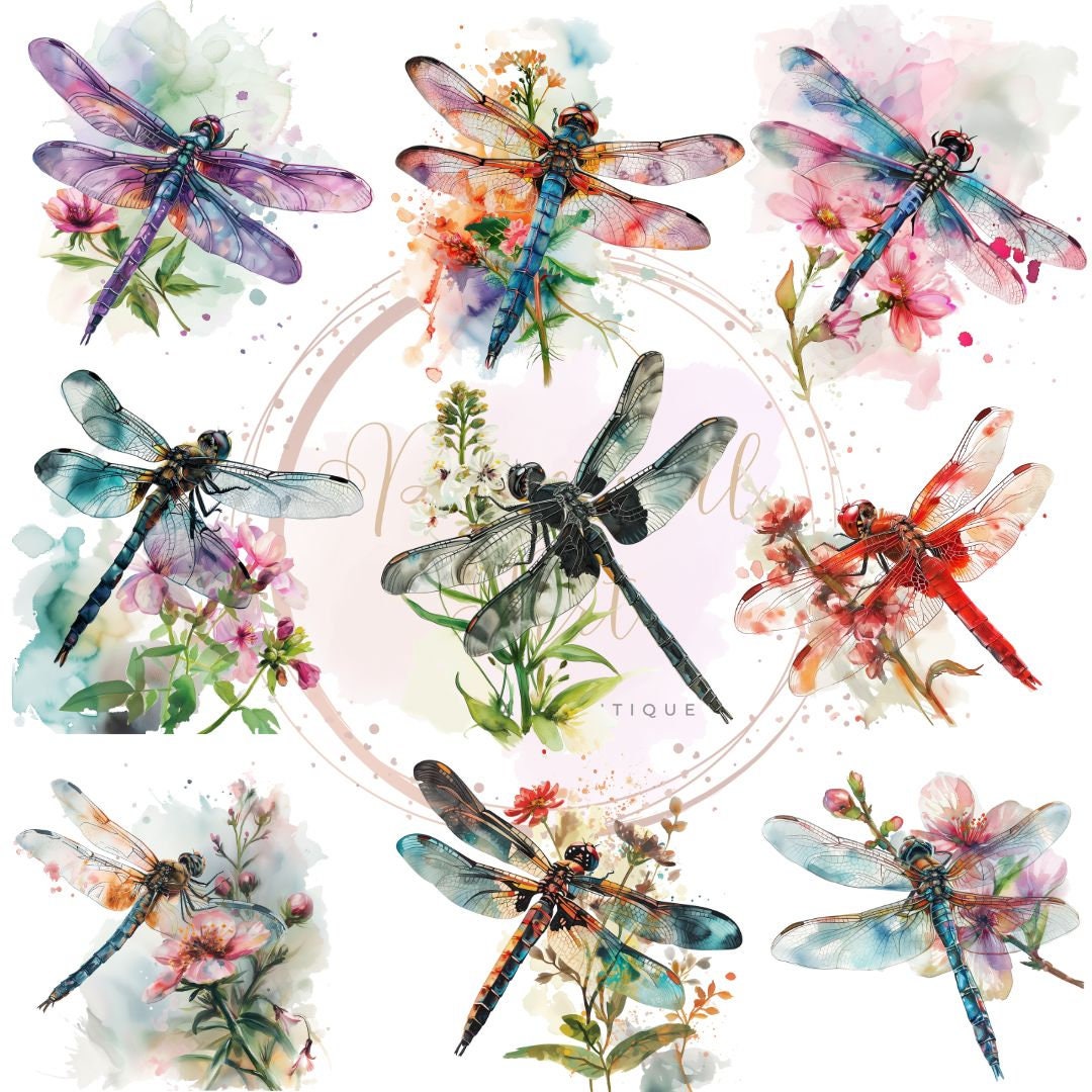 26 Dragonfly Flower Clipart Transparent Watercolor PNG Wing Fantasy ...