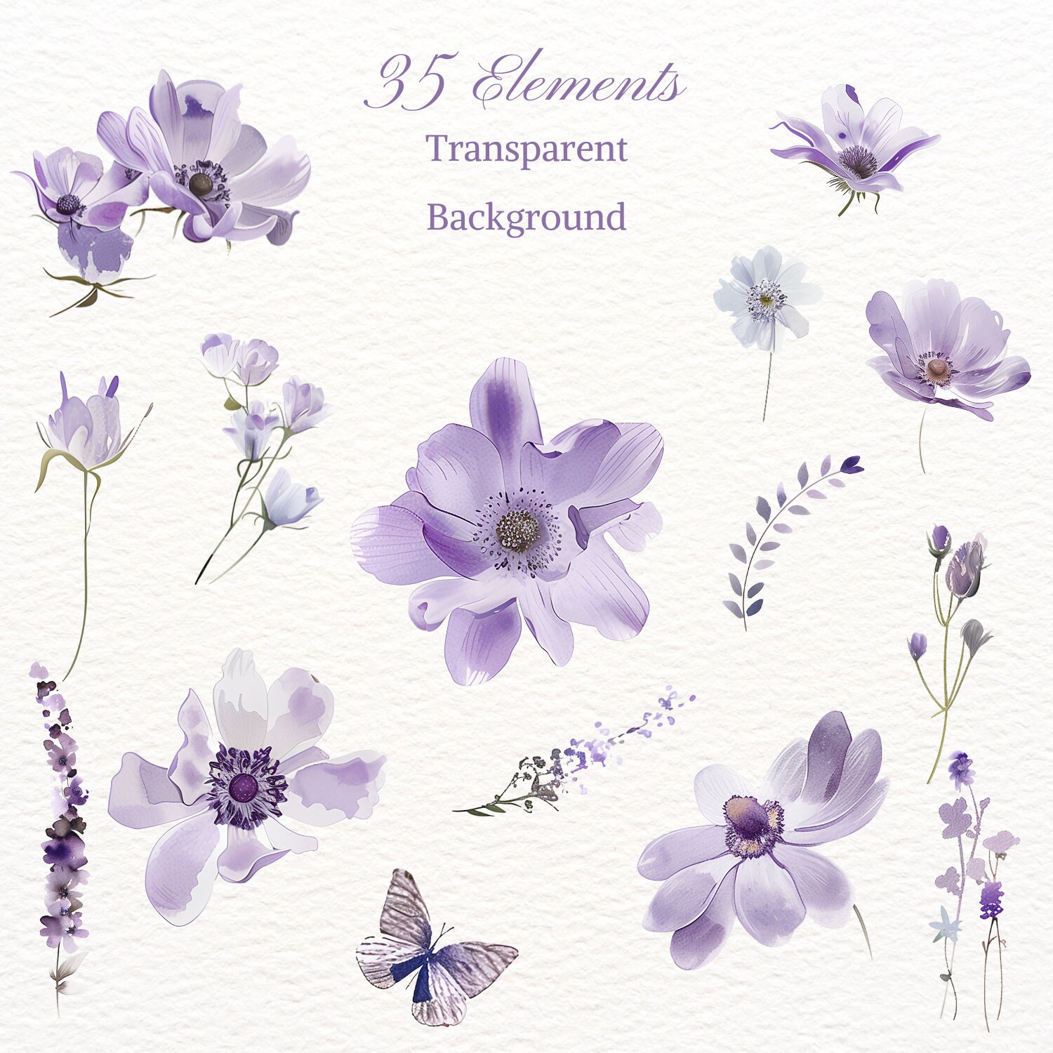 Violet Charm Clipart Transparent Watercolor PNG Purple Flora Image ...