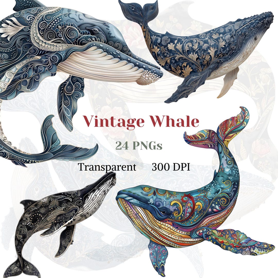 Vintage Whale Clip Art, Ocean Whale Graphic, Rustic Deep Ocean Animal ...
