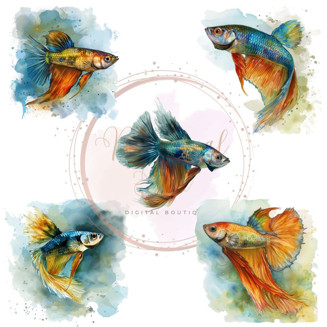 Guppy Fish Clipart Watercolor Transparent PNG Pet Animal Drawing Fish ...