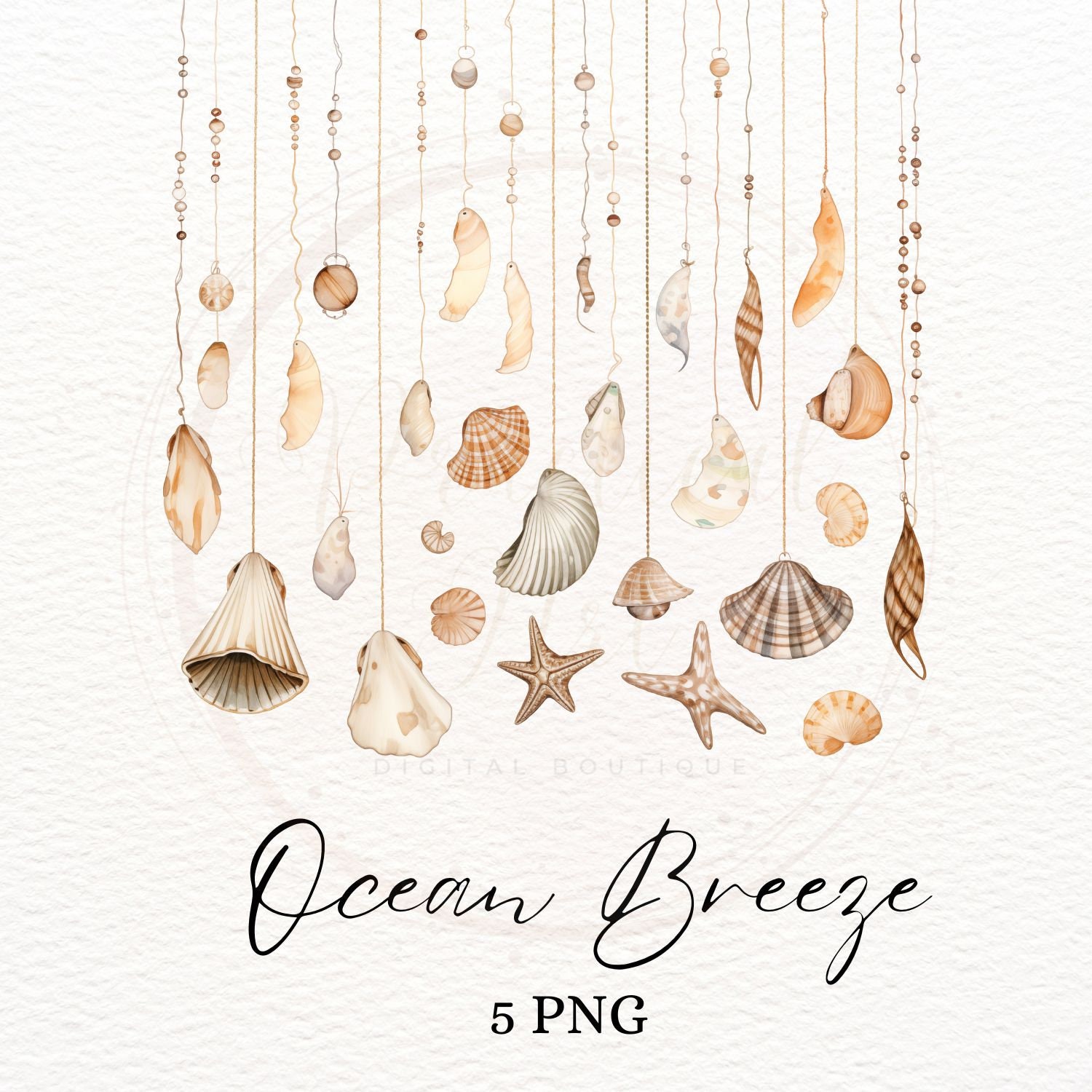 Ocean Seashell Wreath Clipart, Watercolor, Boho Beige Design, Summer ...