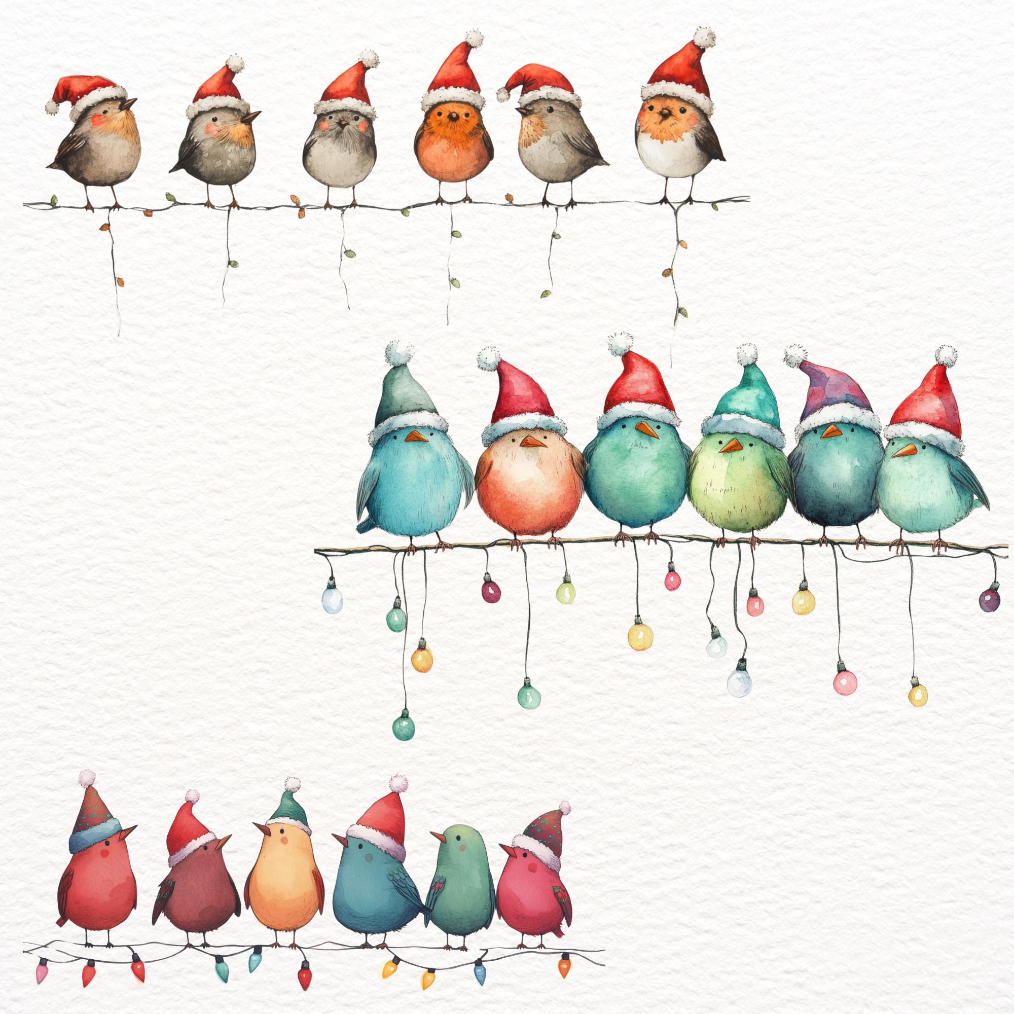Whimsical Christmas Birds Clipart, Watercolor Cute Funny Bird PNG ...