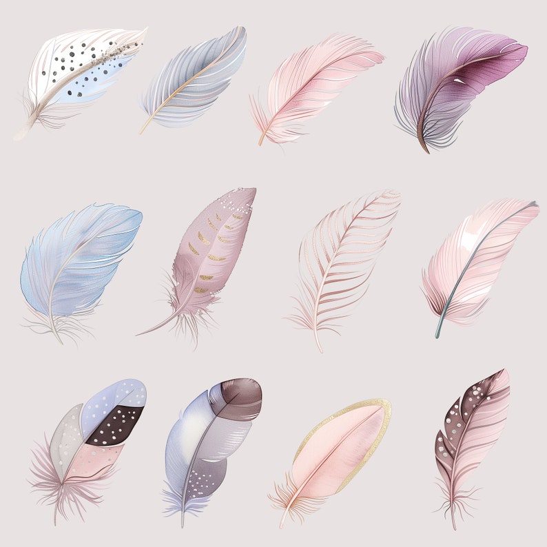 Pastel Feather Clipart Transparent PNG Bohemian Design Pink Blue ...