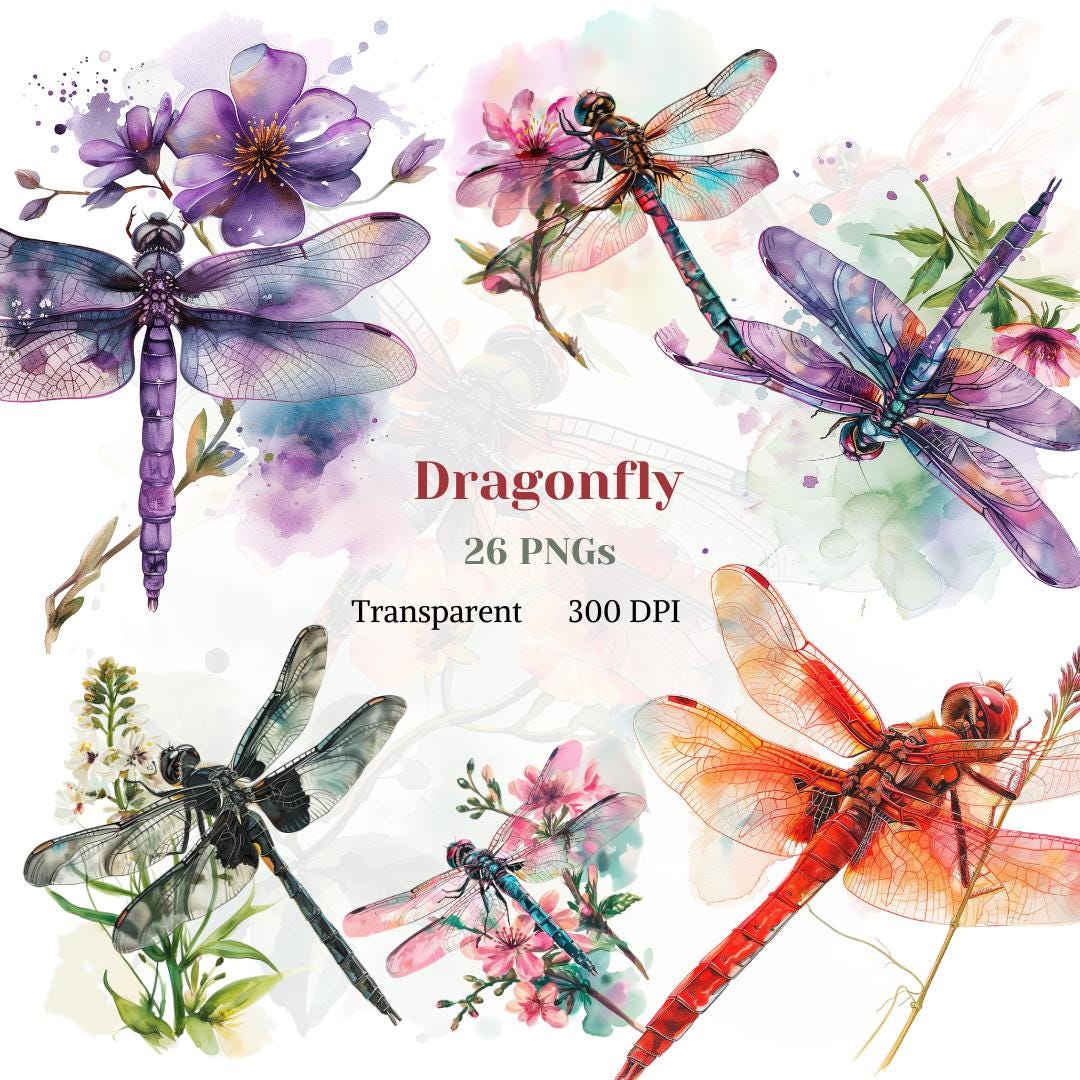 Dragonfly Flower Clip Art, Watercolor Floral Insect PNG, Wing Fantasy ...