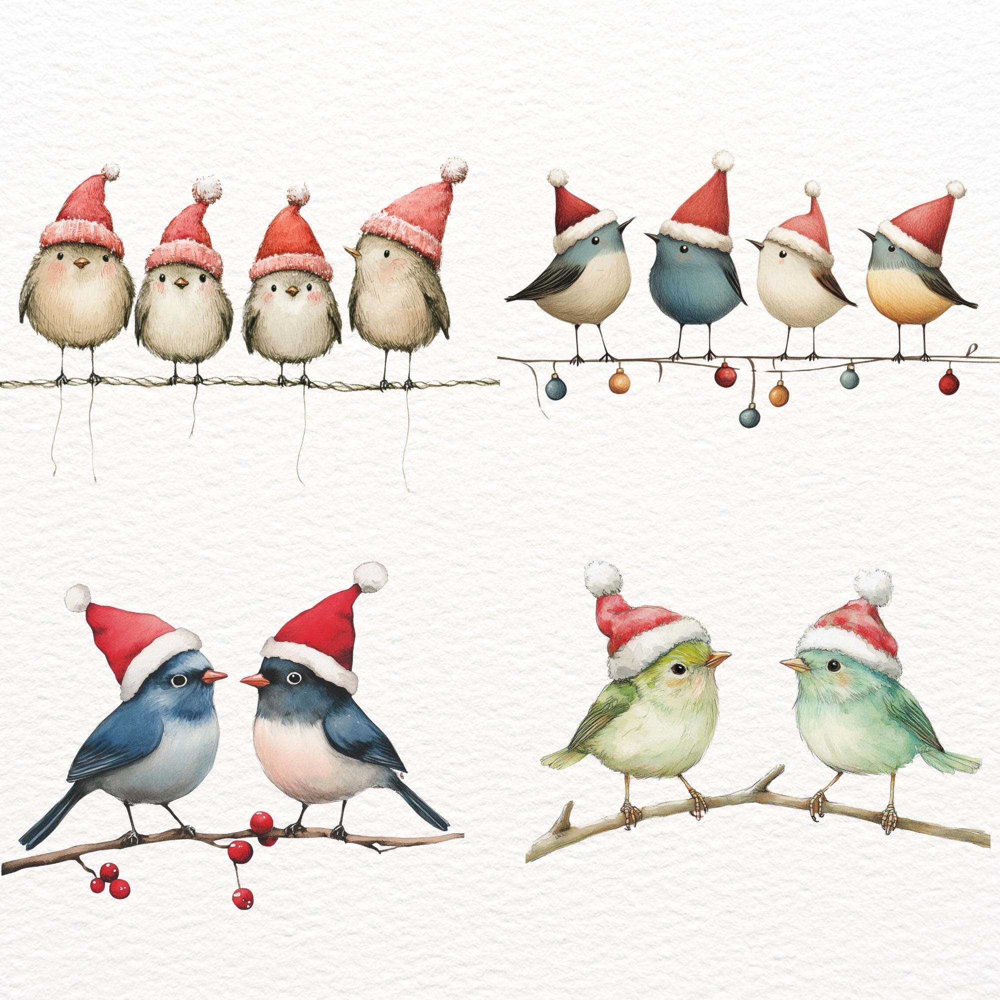 Whimsical Christmas Birds Clipart, Watercolor Cute Funny Bird PNG ...